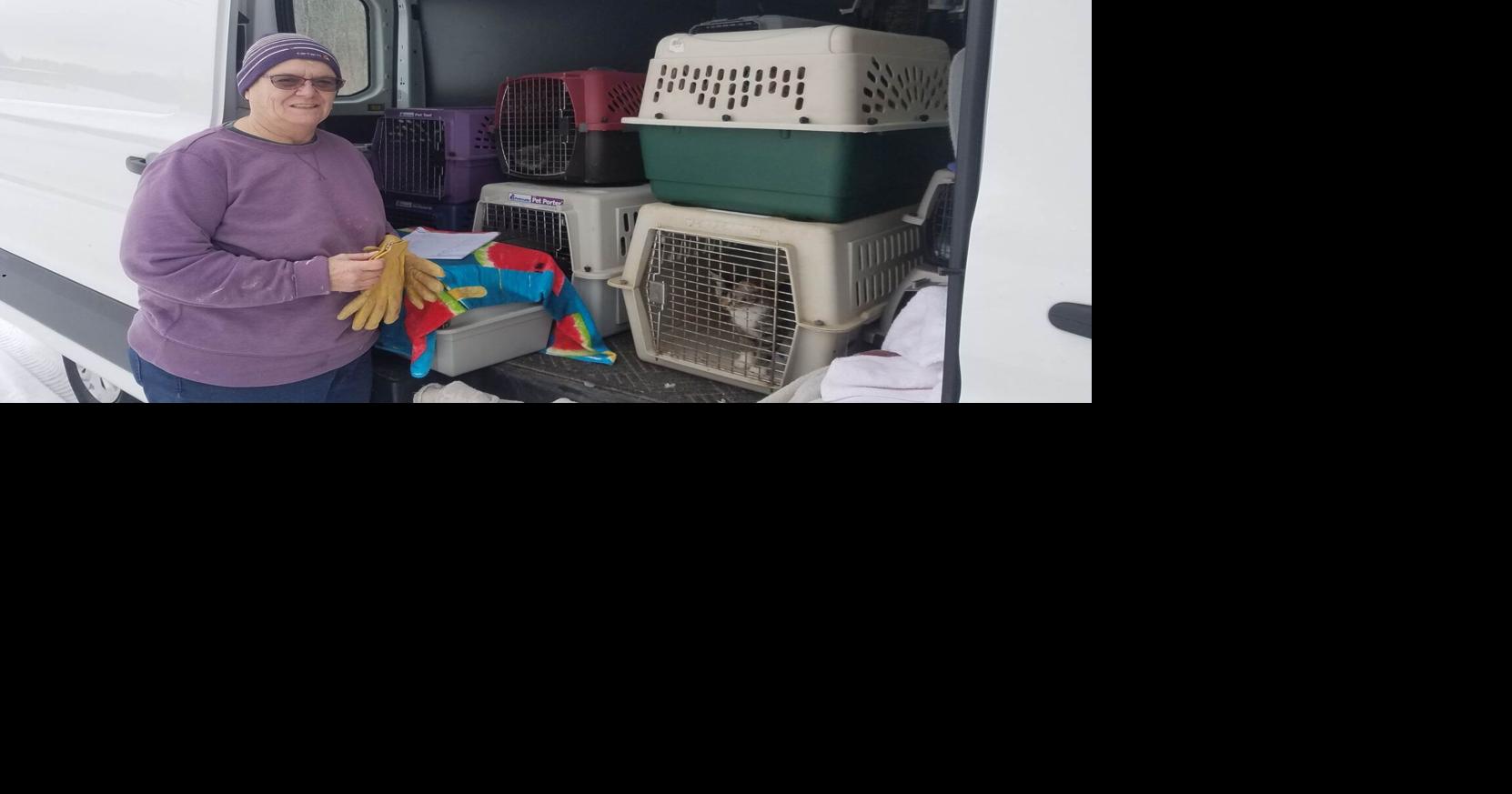 Pet rescues swamped by 63-cat hoard | Subscriber | apg-wi.com