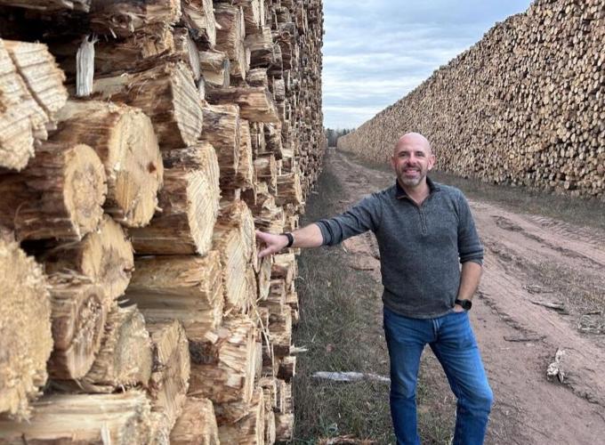 Northwoods forestry faces major shift with proposed $1.5B Hayward fuel ...