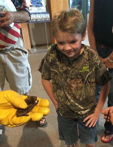 Wisconsin Bat Festival lands at NGLVC | Subscriber | apg-wi.com