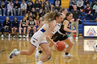 Prep girls basketball: Sheplee an All-State honorable mention | Sports ...