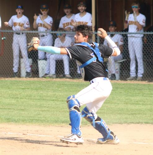 Baseball: Barron takes regional title over Cameron | Sports | apg-wi.com