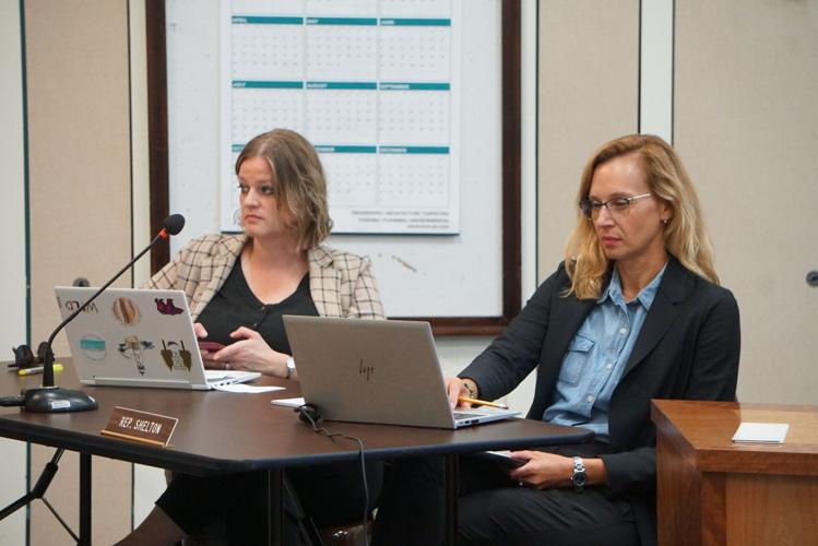 Committees look at deer hunting issues | Price County Review | apg-wi.com