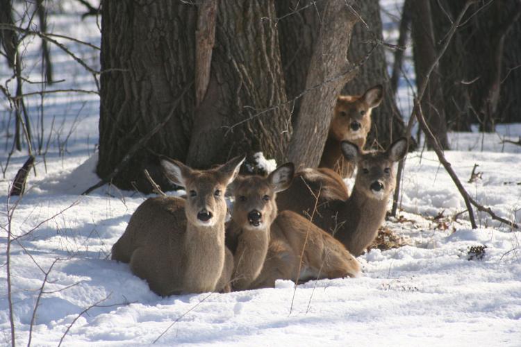 Slapped in the face by Old Man Winter | Subscriber | apg-wi.com