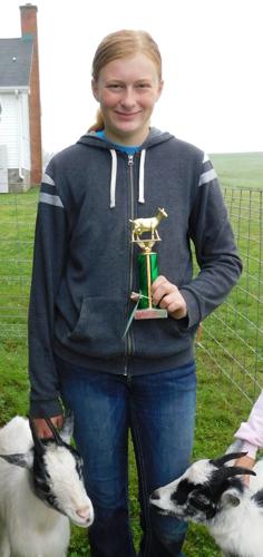 Kids shine at Spirit–Hill–Ogema 4-H Fair | Price County Review | apg-wi.com