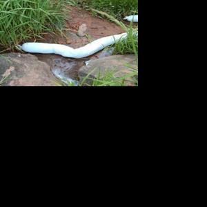 Construction crew uncovers mysterious sludge in sewer | News | apg-wi.com