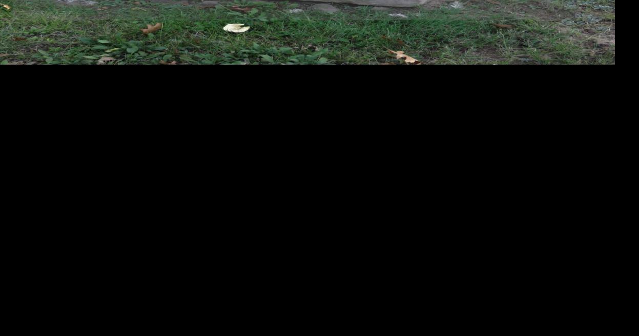 5 Gravestone.jpg | | apg-wi.com