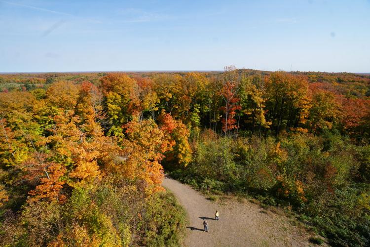 FALL LEAVES TOUR | | apg-wi.com