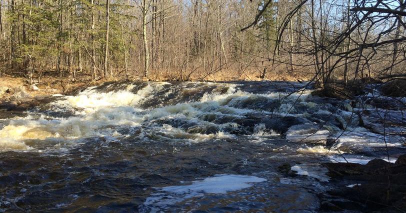 Totogatic Wildlife Area master plan efforts set to begin | Local | apg ...