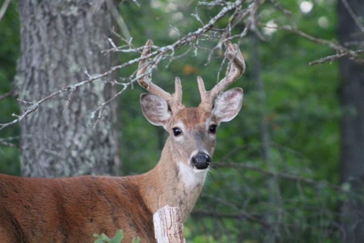 Autumn days go by quickly | Local | apg-wi.com