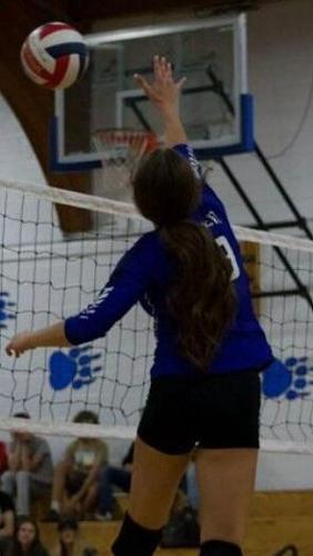 Diggers dig in | High School | apg-wi.com