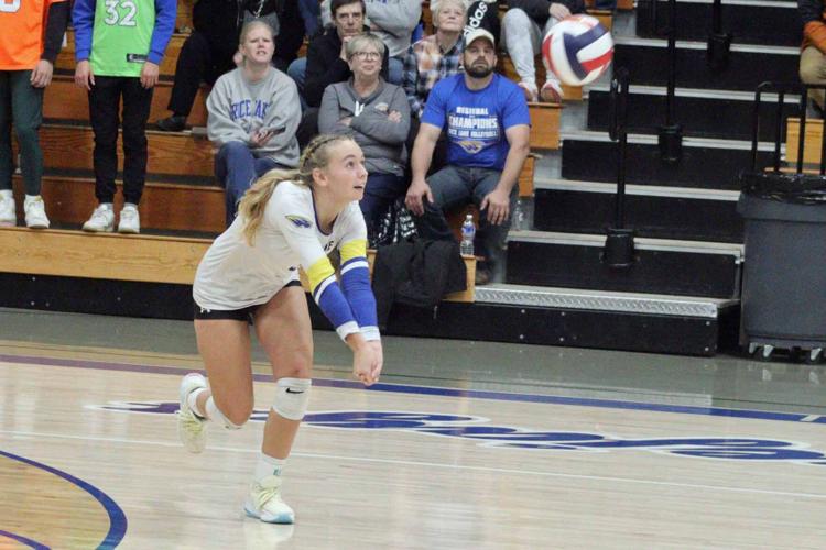 Rice Lake volleyball wins sectional title to advance to state ...