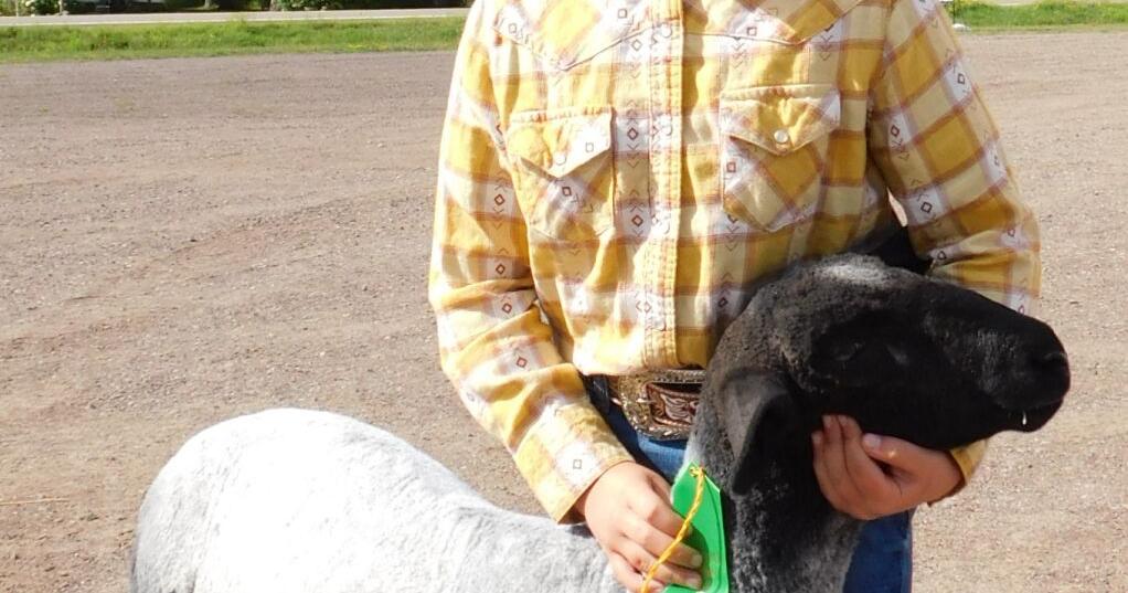 Kids highlight Spirit-Hill-Ogema 4-H Fair | Price County Review | apg ...