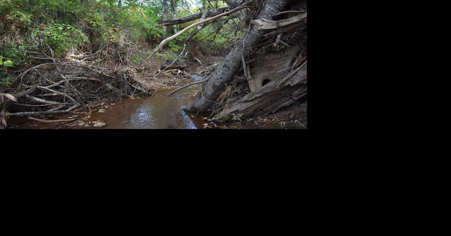 Study shows loss of wetlands makes damage worse | Subscriber | apg-wi.com