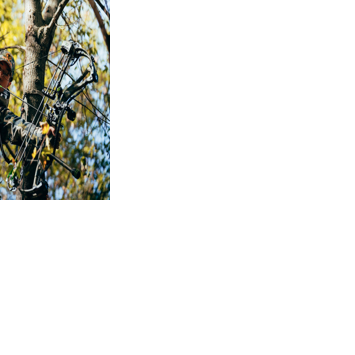 Remember TAB-K during archery, crossbow deer seasons | Outdoors | apg ...