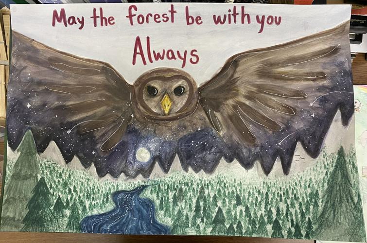HHS student's conservation poster in national contest | Sawyer County ...