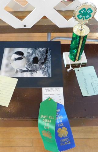 Kids highlight Spirit-Hill-Ogema 4-H Fair | Price County Review | apg ...