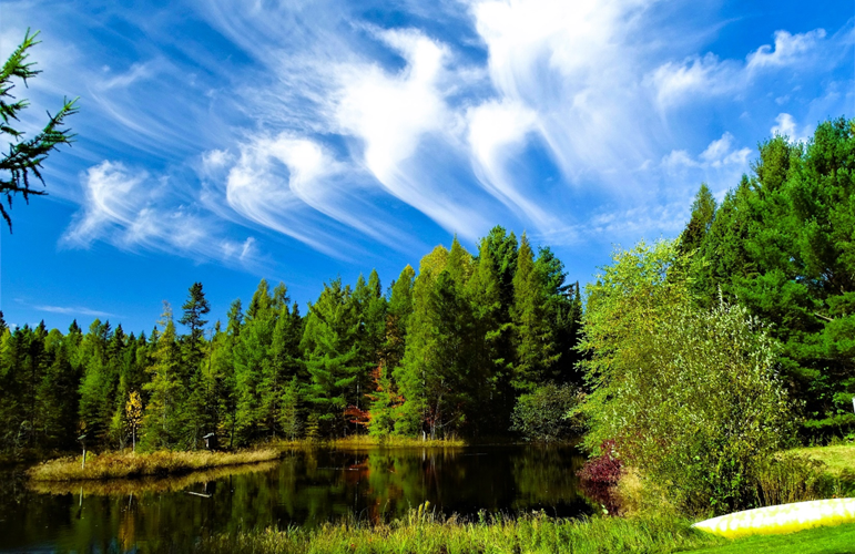Focus on Nature: The healing power of nature | Price County Review ...