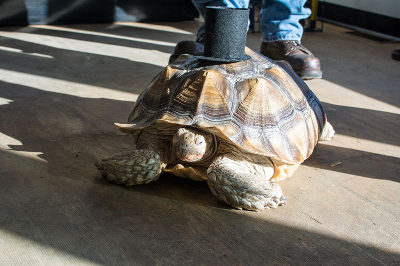 Spike says six more weeks of winter | Free | apg-wi.com