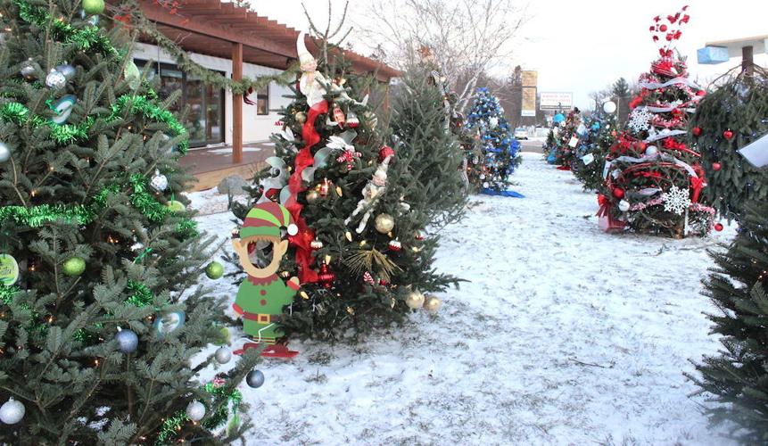 Voting on through Sunday in second annual Christmas Tree Walk | Free ...