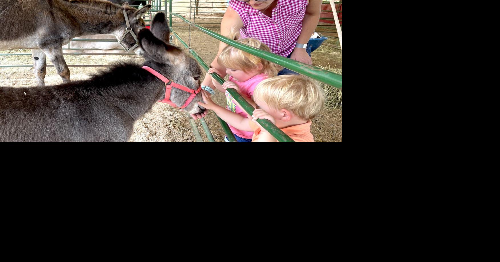 Barron County Fair called 'One of the best' | News | apg-wi.com
