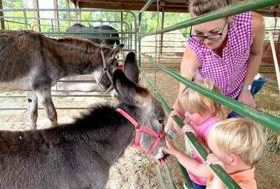 Barron County Fair called 'One of the best' | News | apg-wi.com