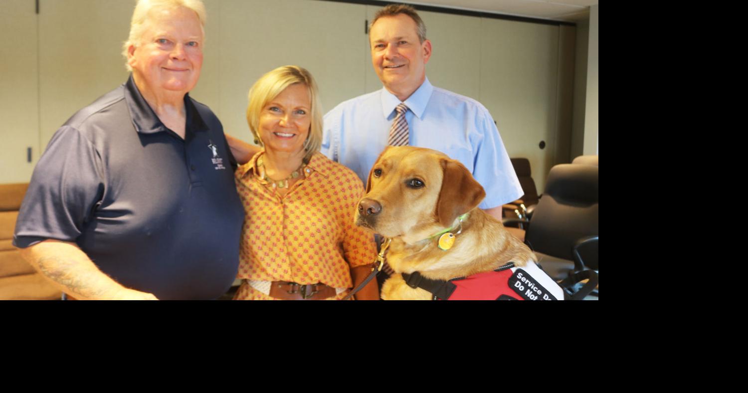 From nightmares to sweet dreams: Service dog Ryder helps Vietnam ...