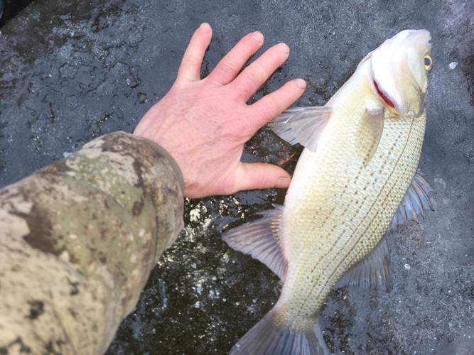 An Outdoorsman's Journal: Camping and ice fishing on Lake Puckaway ...