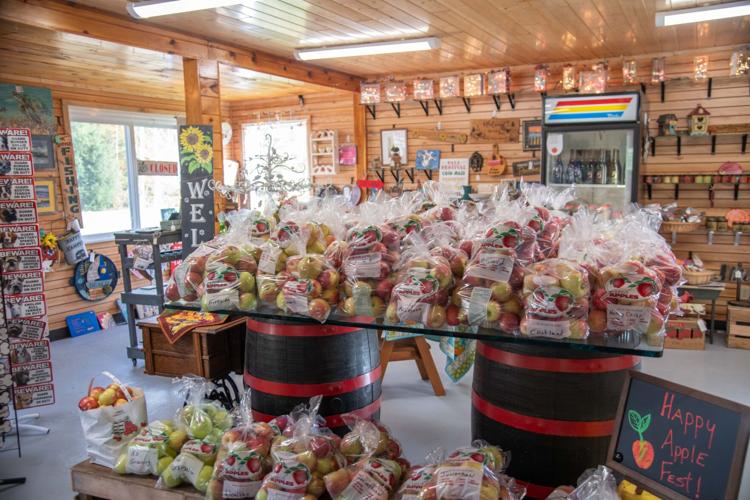 A celebration of all things apple | Local | apg-wi.com