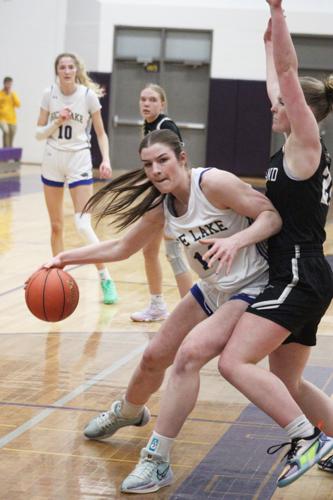 Girls basketball: Rice Lake's Sheplee, Schmidt receive WBCA all-state ...