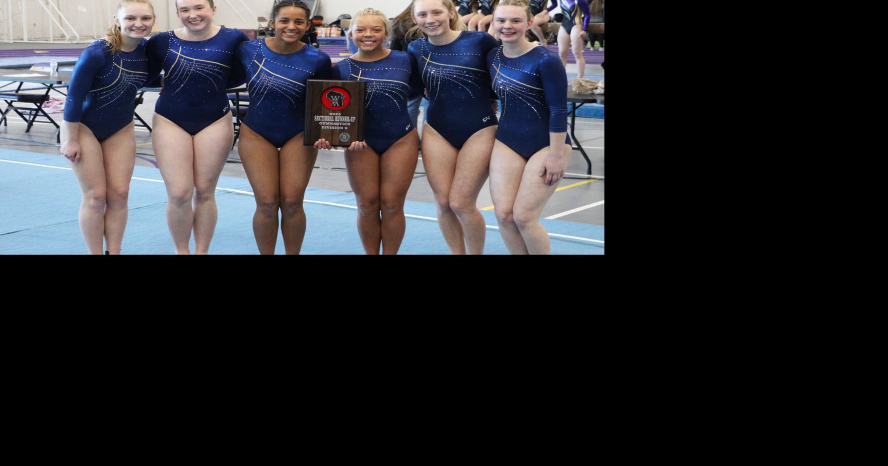 Rice Lake qualifies for state gymnastics meet after sectional runner-up ...