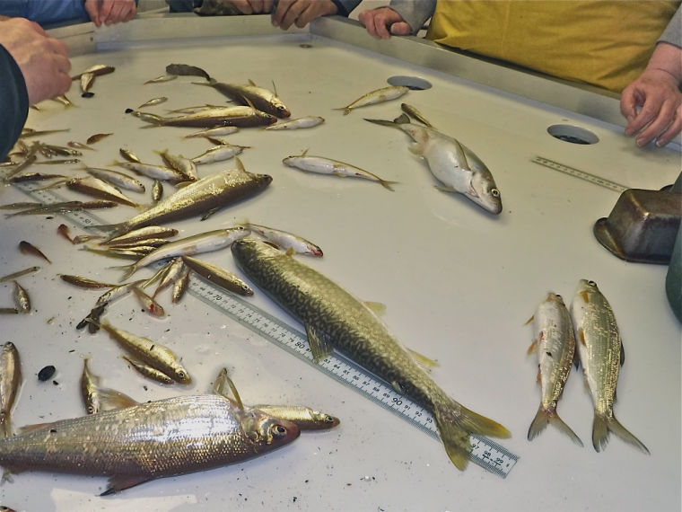 USGS vessel Kiyi continues pursuit of data in voyages on Lake Superior ...