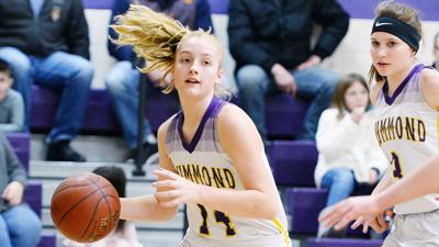 Area Hoops Roundup --- Monday, Feb. 11 | Subscriber | apg-wi.com