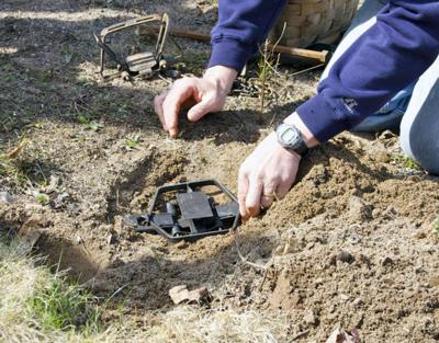 First time trappers have hands-on opportunity to get certified | News ...