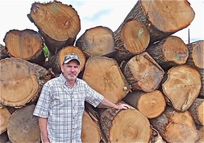 Terry Peters Logging: From humble beginnings to Business of the Year ...