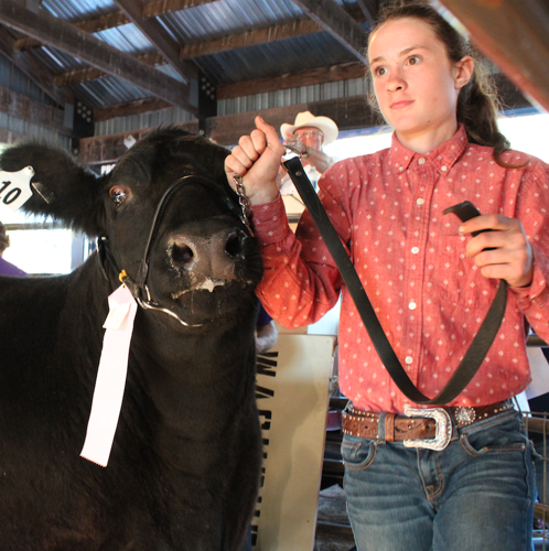Washburn County Fair: Can it get more all-American than a small-town ...