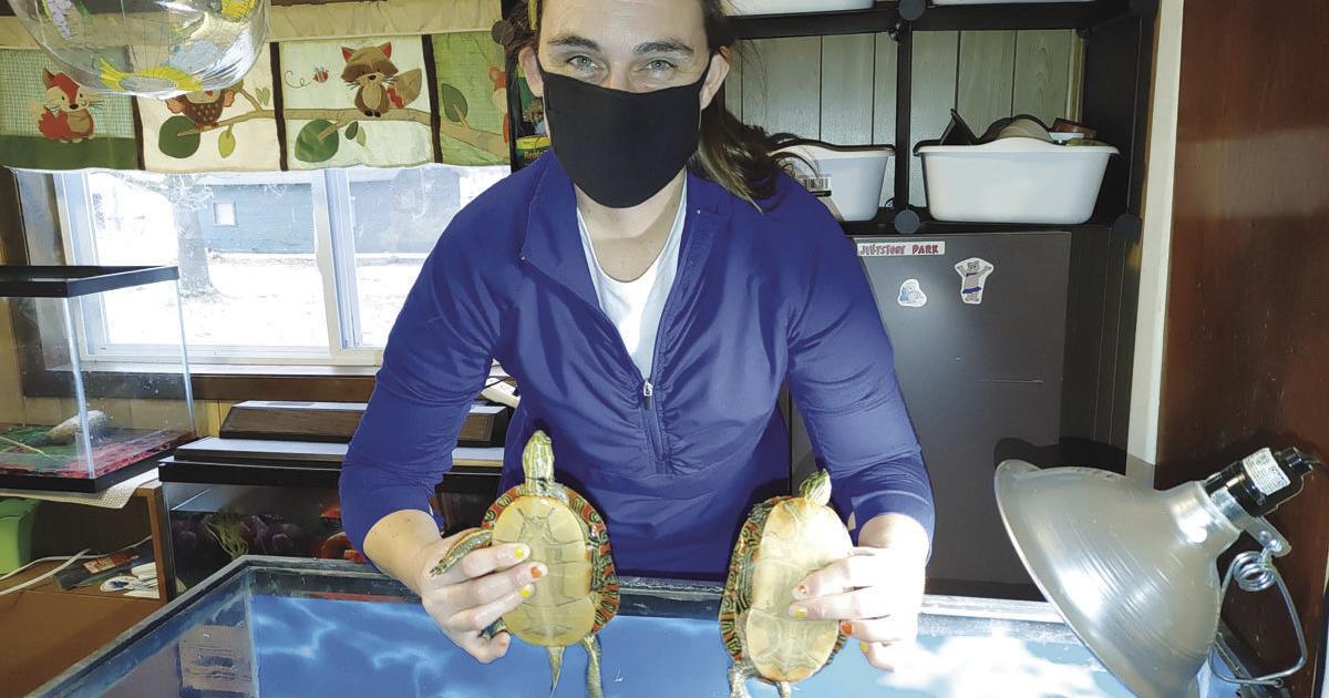 Project Northwoods brings nature to the village | Subscriber | apg-wi.com