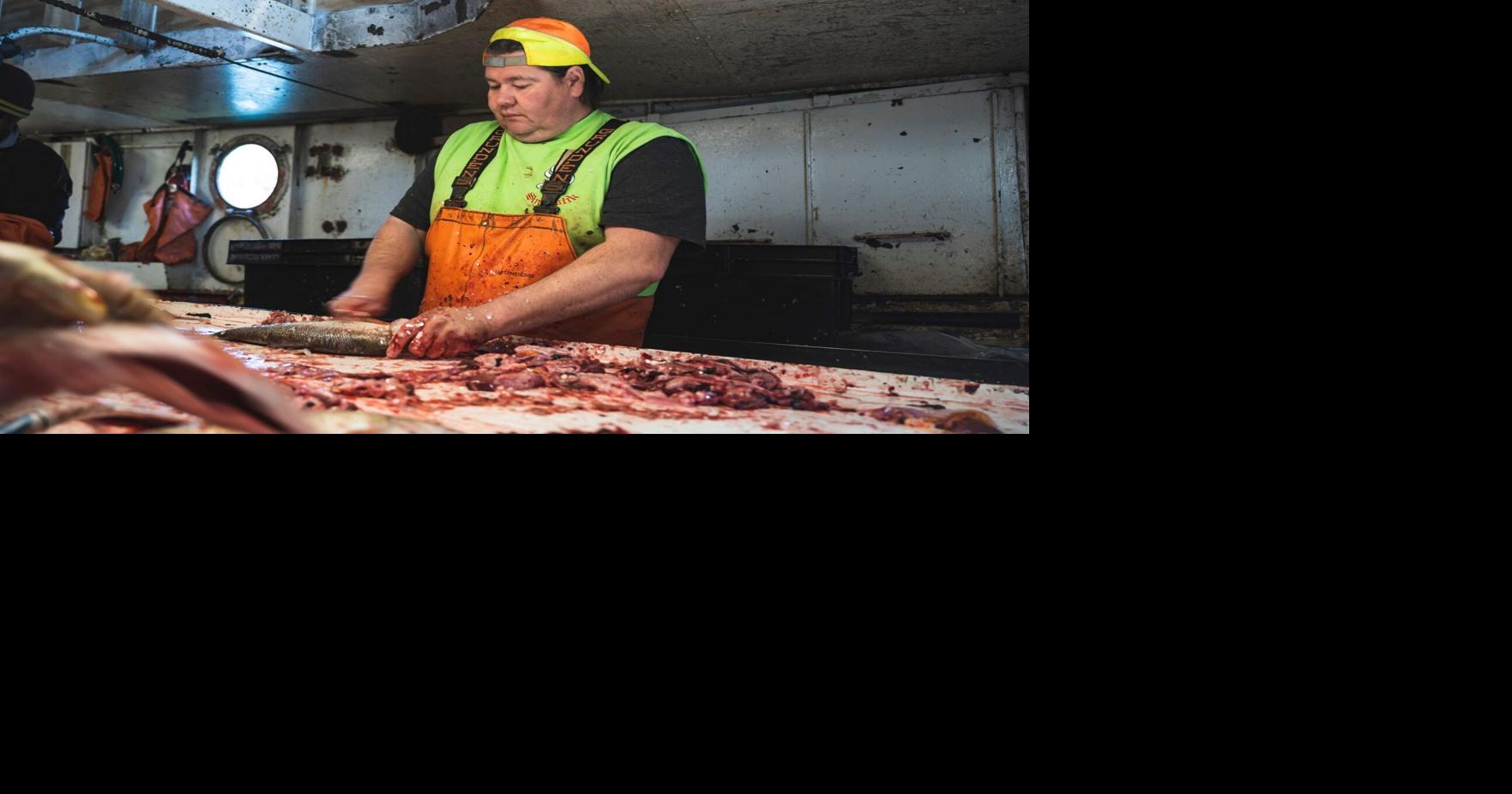 Red Cliff Fish Co. opens retail store near Bayfield | Subscriber | apg ...