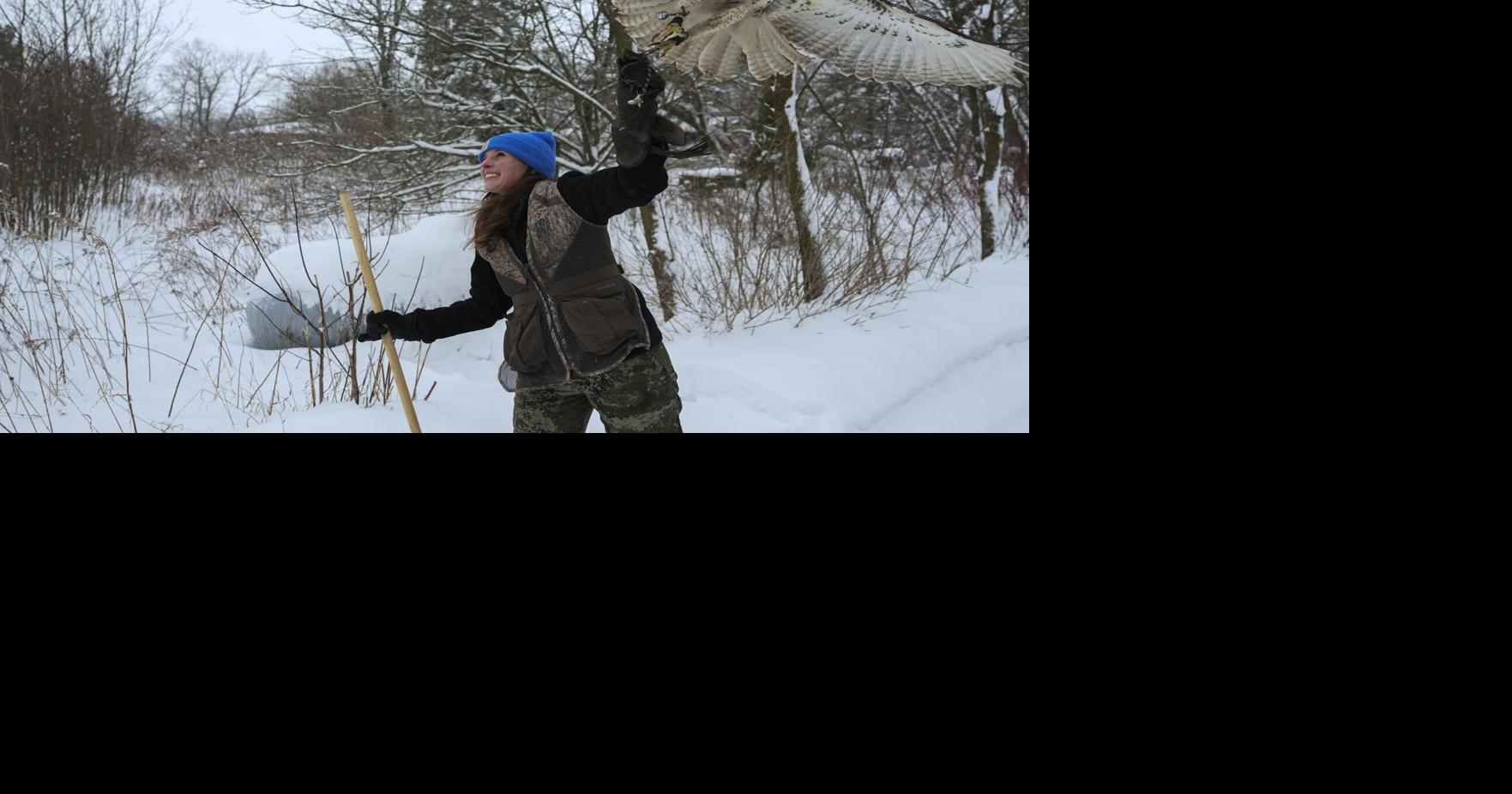 Midwest winters are changing. So is the ancient sport of falconry ...