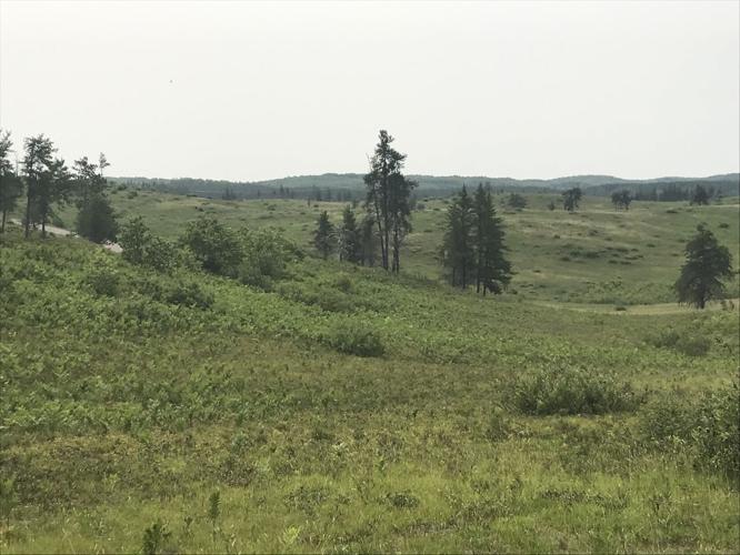 Barrens hikes are anything but barren | Outdoors | apg-wi.com