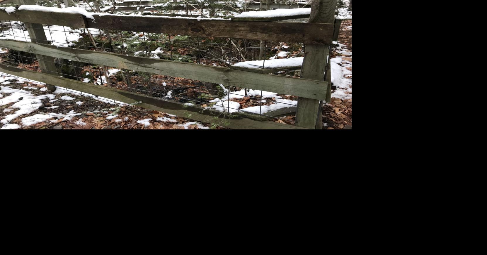 Brule River trail was all mine | Subscriber | apg-wi.com