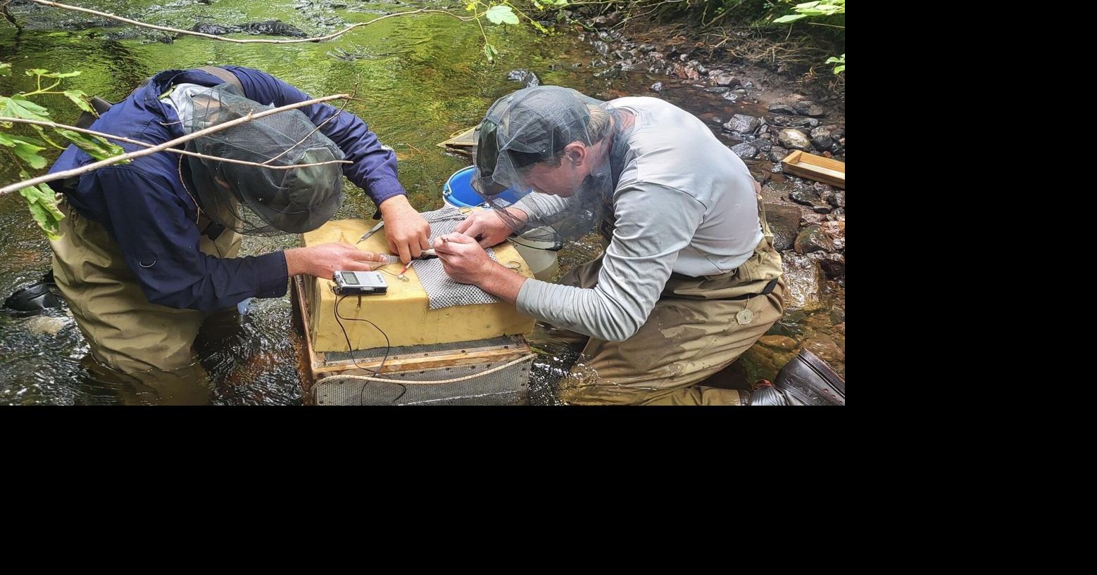 An Outdoorsman's Journal: Assisting young biologists | Sport Fishing ...