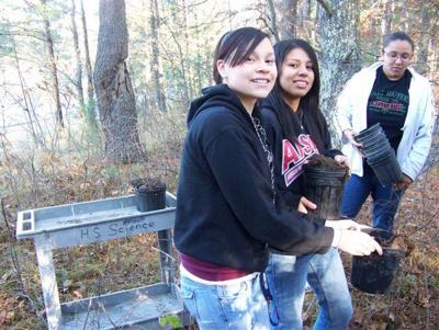 Endangered box huckleberry finds new growth at hands of LCO science ...