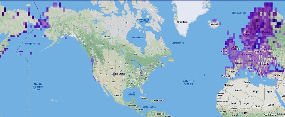 First-ever Arctic loon spotted in Lake Superior | Local | apg-wi.com