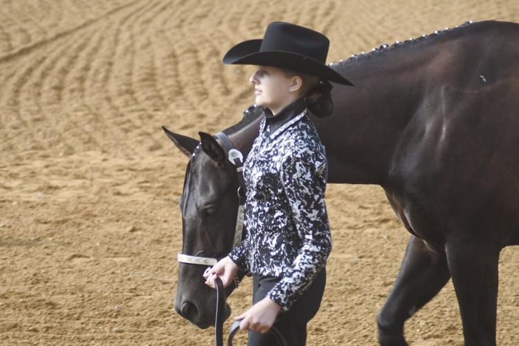 110th Washburn County Fair | Local | apg-wi.com