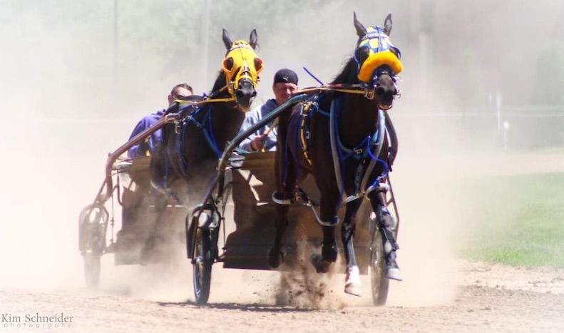 Harness racing will get county fair off to a fast start | Free | apg-wi.com