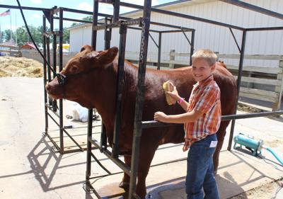 Let the Good Times Grow at 146th annual Barron County Fair | News | apg ...
