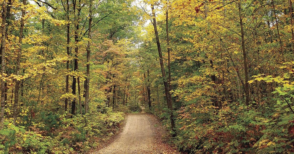 Motorized sports riders give back to the whole recreational trail ...
