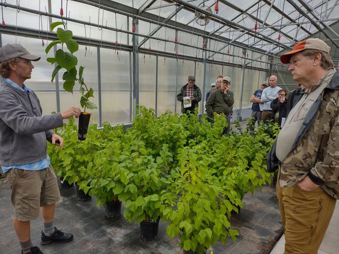 Hazelnuts get their day in the sun | Local | apg-wi.com