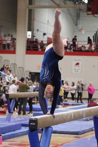 Prep gymnastics: Rice Lake's Ash wins vault state title, finishes 5th ...