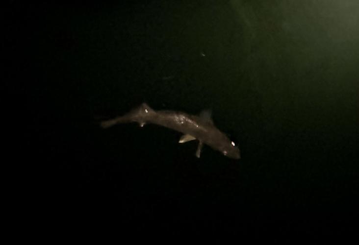 The trials of night fishing | Outdoors | apg-wi.com